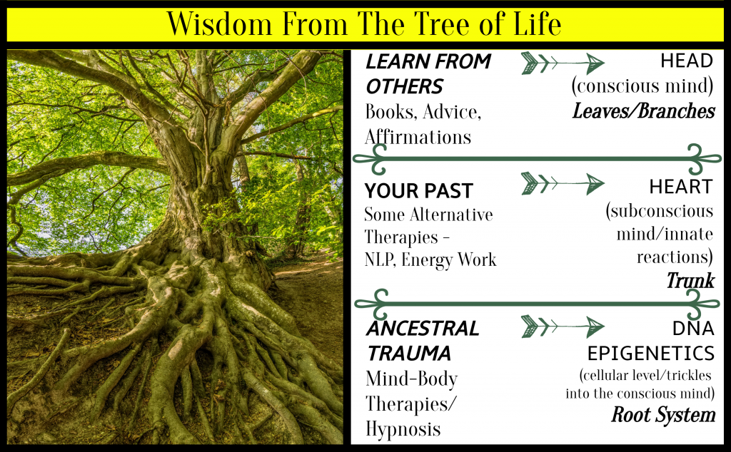 The Tree of Life - Wise Heart Coaching & Hypnosis